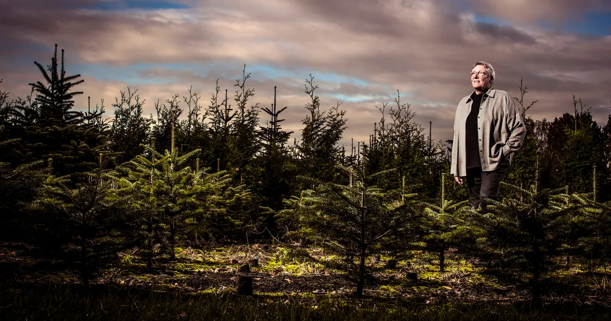 Els van Dijk: ‘Loslaten is een vorm van bevrijden’ - EO