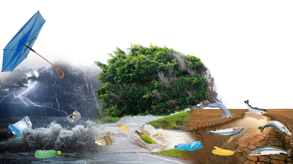 Klimaatverandering: 'water is wereldwijd een urgent thema' - EO