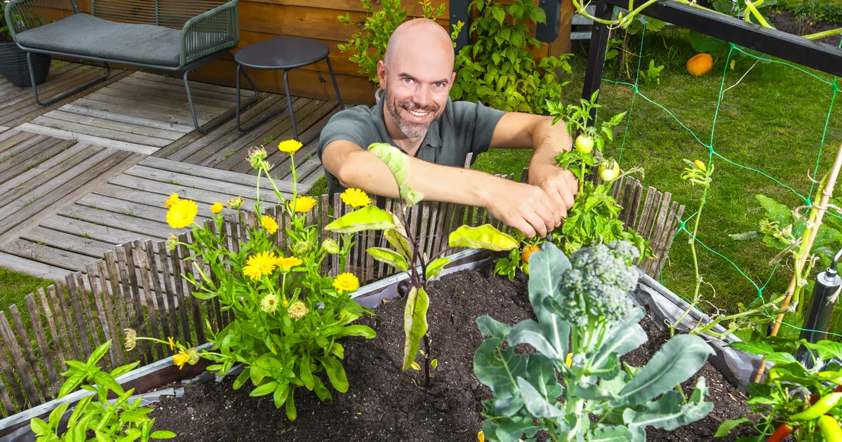 Léon plant groenten in zijn moestuin in een aanhangwagen - EO